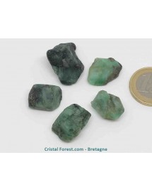 Cristal Forest : Pierre Lithothérapie, Boutique de pierres & minéraux